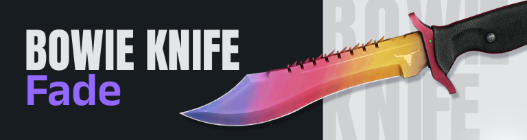Bowie Knife Skins in CS2: Best Options, Prices & Where to Buy