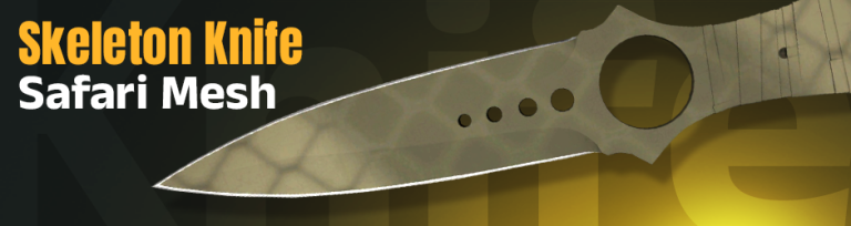 Best Skeleton Knife Skins in CS2: Top Choices & Buying Guide