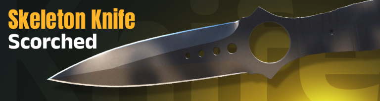 Best Skeleton Knife Skins in CS2: Top Choices & Buying Guide